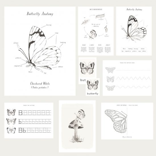 Butterfly Printables - Homeschool PDF Materials - Oh Snap Boutique